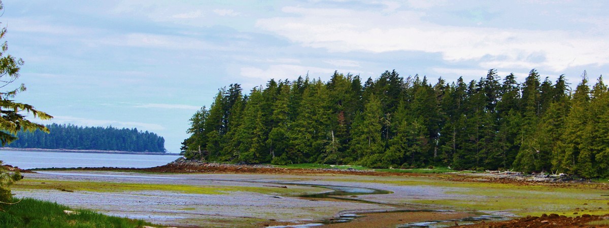 ABOUT THE TRAIL – The Metlakatla Wilderness Trail